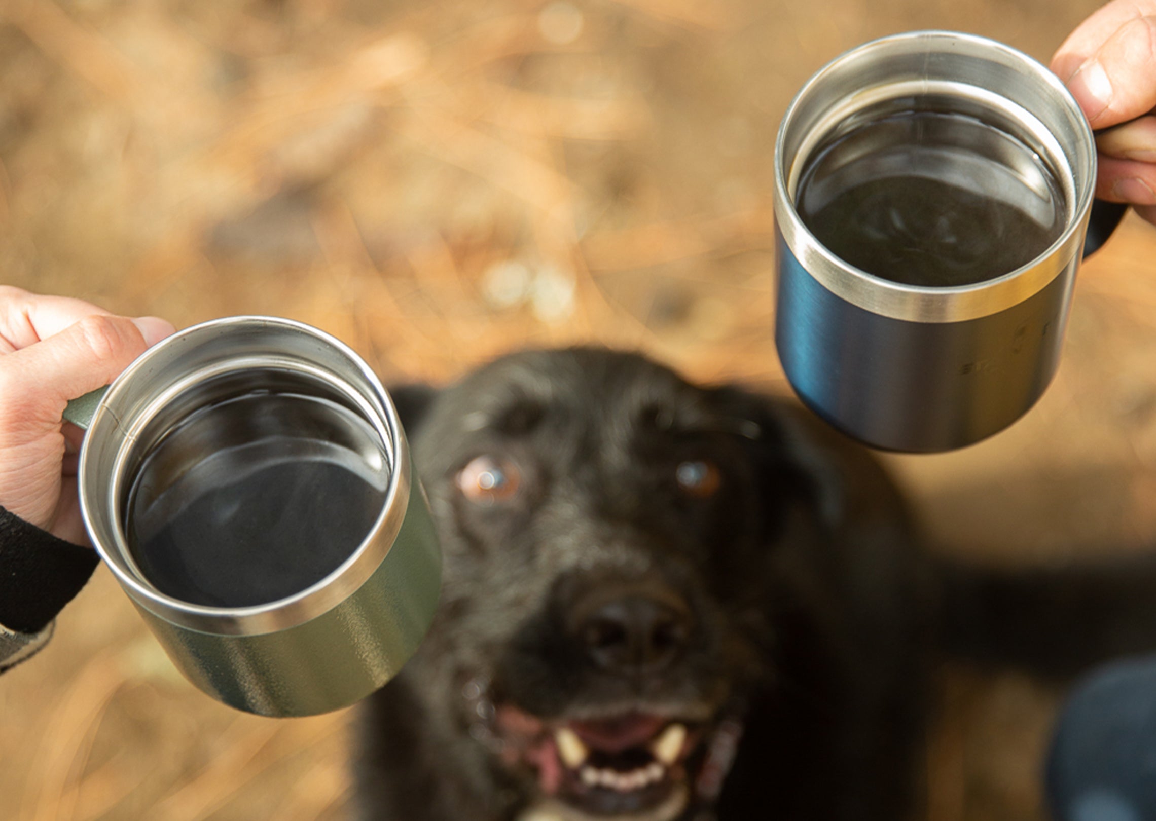 Fall Gatherings | Beer Pints, Cooking Sets, Mugs | Stanley – Stanley 1913