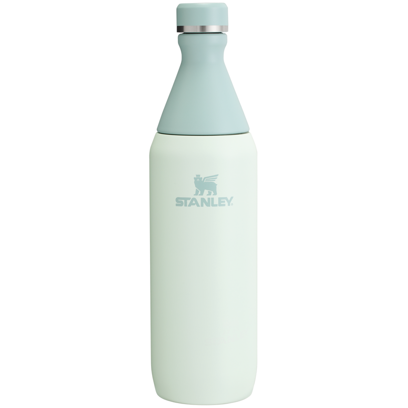 All Day Slim Bottle | 20 OZ – Stanley 1913